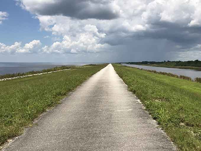 The scenic trail stretches endlessly ahead, promising views that make every pedal stroke absolutely worthwhile.