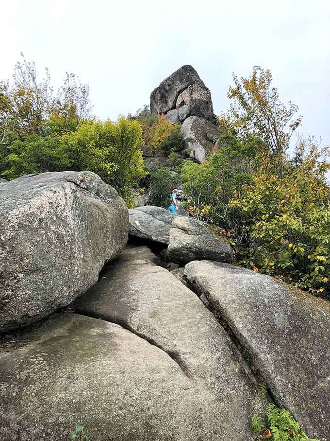 That moment when you realize the rocks ahead aren't just scenery but your actual hiking route.