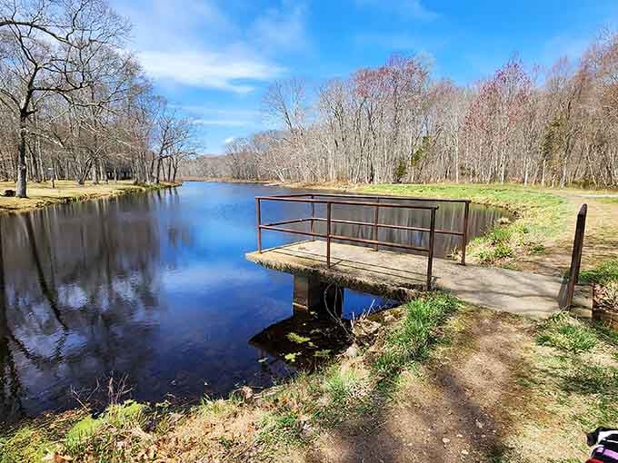 Clark Community Park's peaceful dock proves that sometimes the best entertainment is absolutely free and quiet.