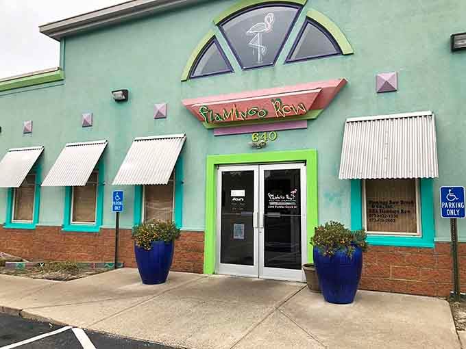 Flamingo Row brings tropical whimsy to Kentucky, proving pink birds belong everywhere.