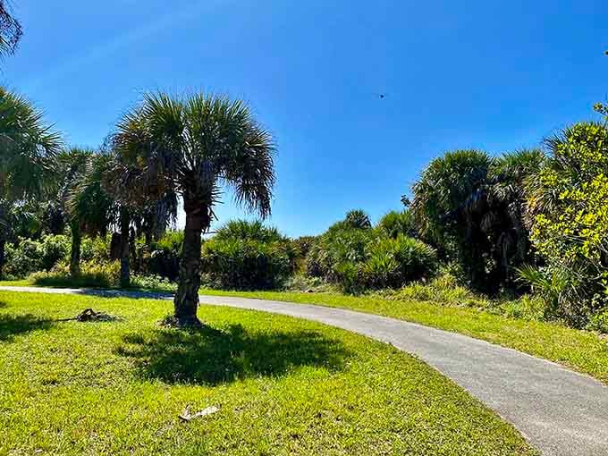 Palm trees frame this pathway like nature's own colonnade, proving Florida knew about landscaping long before we arrived.