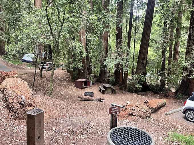 Your campsite awaits, offering more privacy than your last hotel stay and infinitely better morning views.