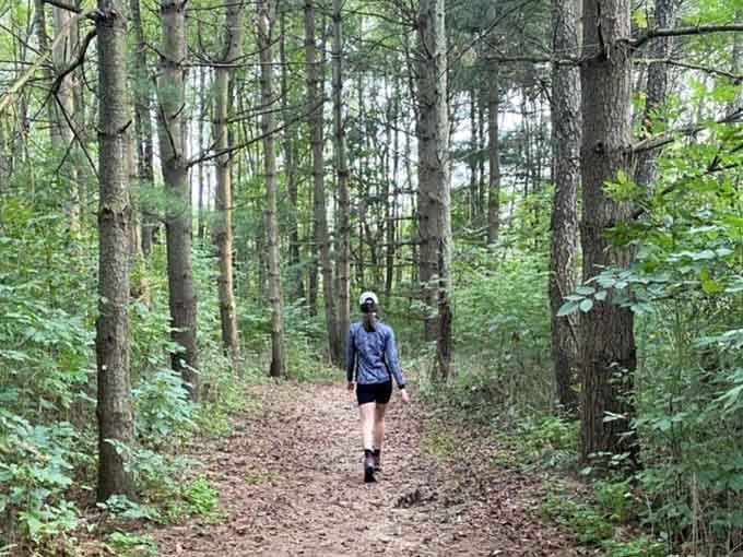Sometimes the best therapy is just you, a trail, and trees that have seen it all.