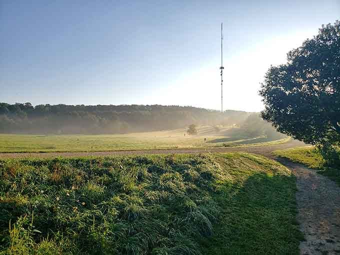 Morning mist rolling across the prairie creates that ethereal effect Instagram filters try desperately to replicate.
