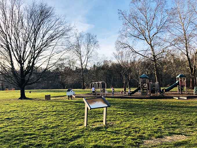 Green grass and playground equipment under winter-bare trees create the perfect spot for grandkids to burn off energy.