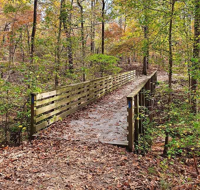Wooden bridges through fall foliage make every hike feel like a nature documentary you're actually starring in.