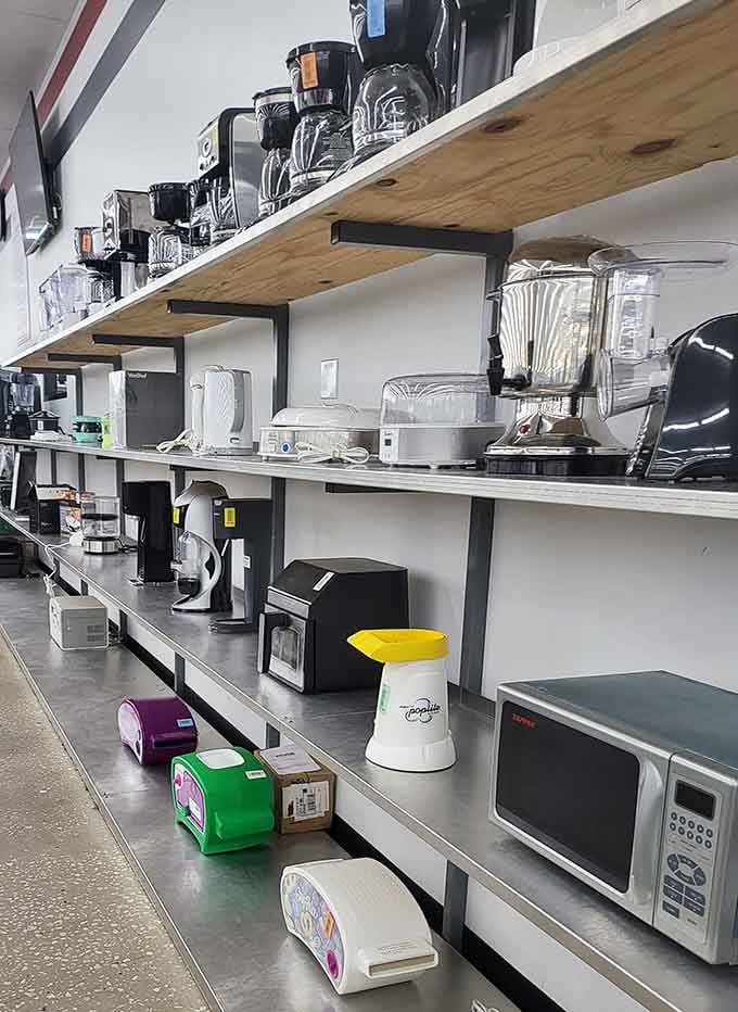 Small appliances waiting for their second act, ready to blend, toast, and brew their way back to glory.