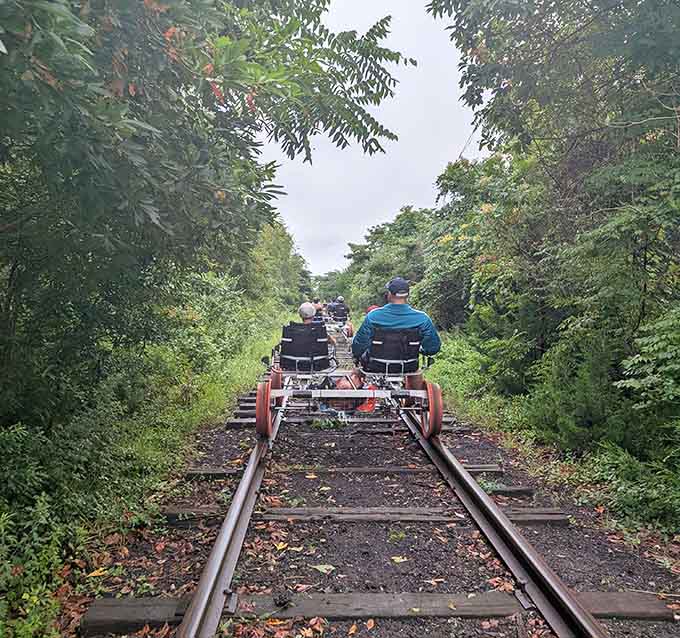 Tree-lined corridors create nature's own tunnel effect, minus the tolls and traffic jams we've grown to love.