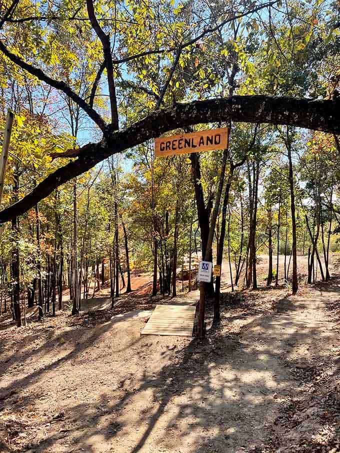 The Greenland trail beckons through dappled forest light, promising adventure for those brave enough to answer the call.
