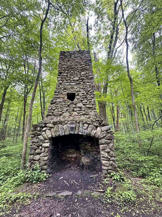 This stone chimney stands like a monument to campfires past, reminding us that people have cherished this spot for generations.