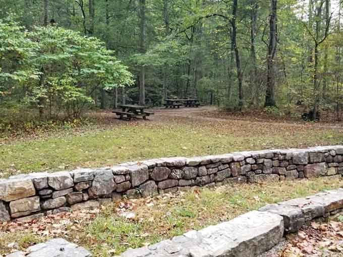Picnic tables waiting in the forest like patient friends, ready for your post-hike sandwich celebration.