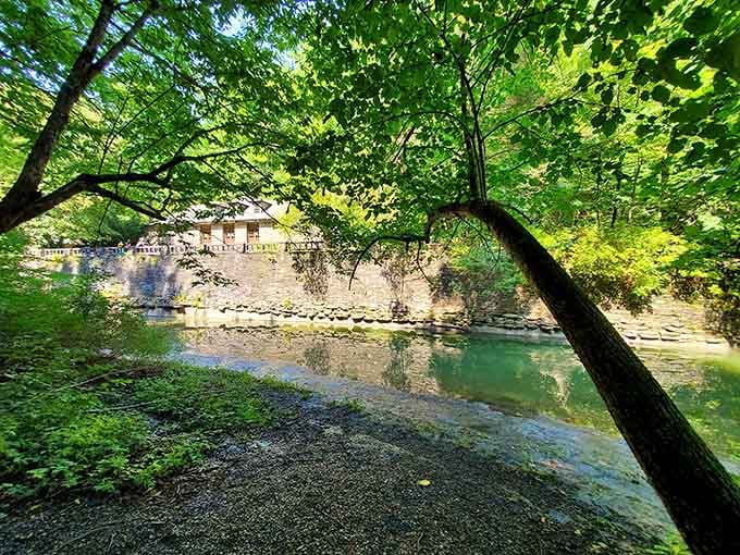 Summer transforms the gorge into a lush green cathedral where sunlight filters through the canopy like nature's own stained glass windows.