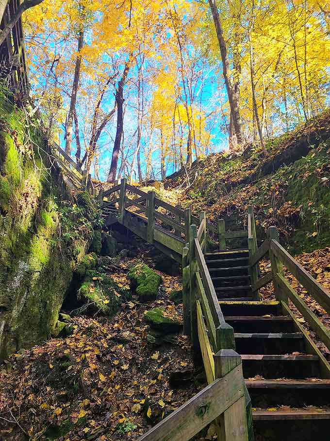These stairs lead to views that'll make your stair-climber at the gym feel utterly pointless.