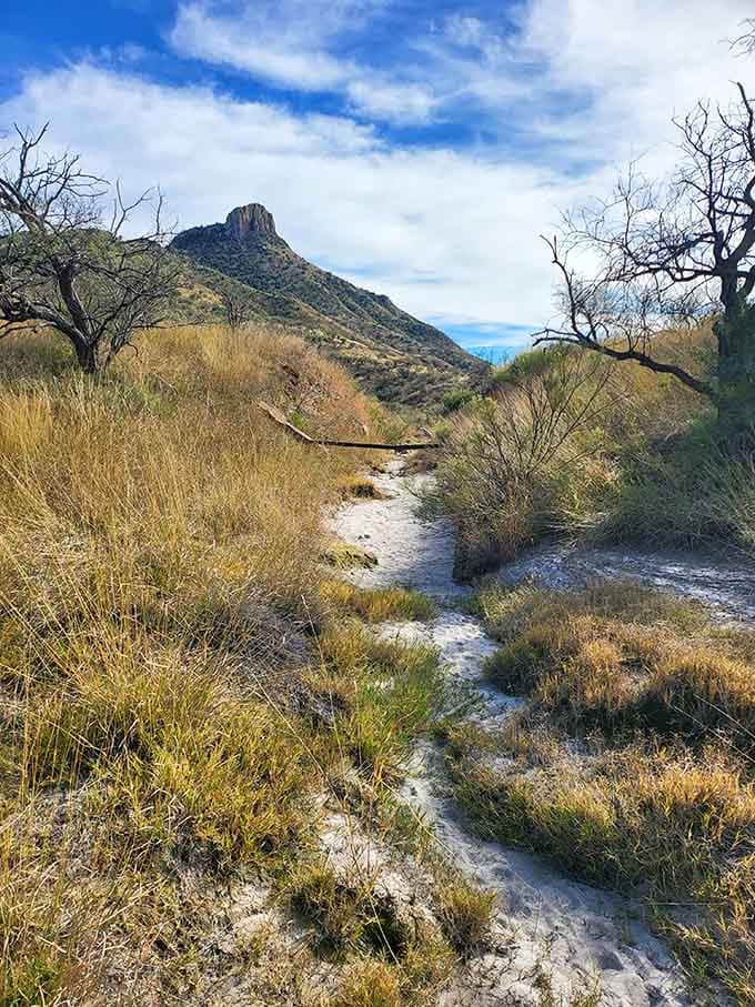The path to Ruby winds through golden grasses beneath that distinctive peak, promising adventure for the properly prepared explorer.