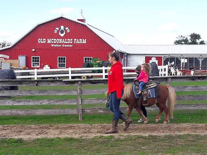 Old McDonald's Farm offers pony rides and agricultural fun that'll make city kids rethink their career plans.