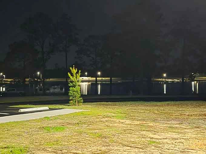 Evening lights reflect off the water like a mirror, turning an ordinary night into something worth staying up for.