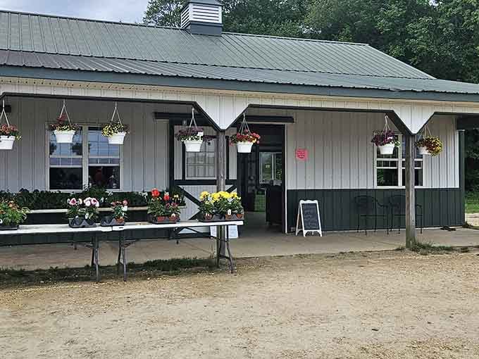 Hanging baskets and cheerful flowers frame this charming farm stand where fresh produce meets old-fashioned hospitality beautifully.