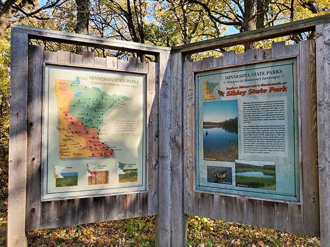 These information boards are like nature's CliffsNotes, helping you appreciate what you're about to experience without the pop quiz.