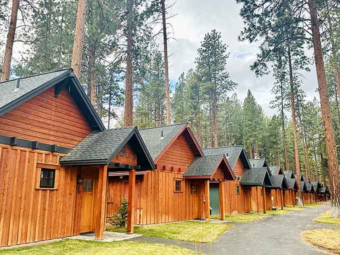 These cozy cabins nestled in the pines are basically an invitation to forget your phone exists for a weekend.