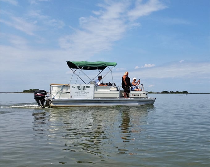 Exploring the marshes by boat reveals a side of Maryland most people never knew existed.