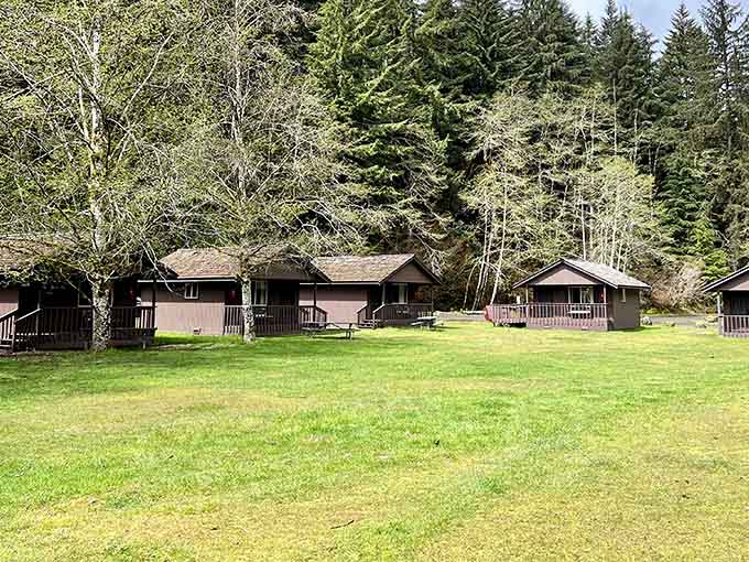These cabins scattered across the property offer peaceful solitude wrapped in towering evergreens and mountain air tranquility.