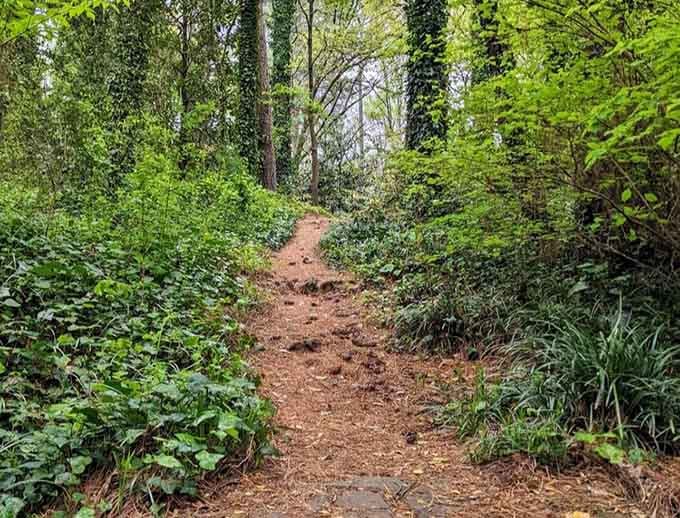 These trails wind through nature like they know exactly where you need to go.