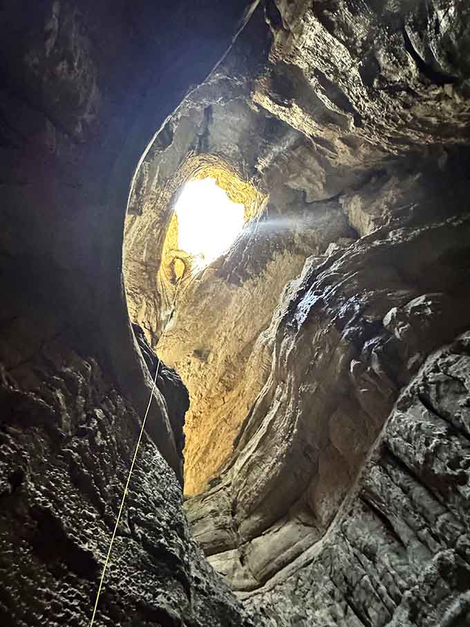 Looking up from the bottom is like staring into nature's own cathedral, minus the uncomfortable pews.