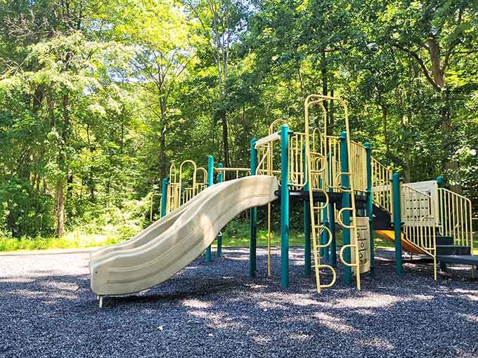 Kids burn off energy here while parents remember what actual play used to look like back then.