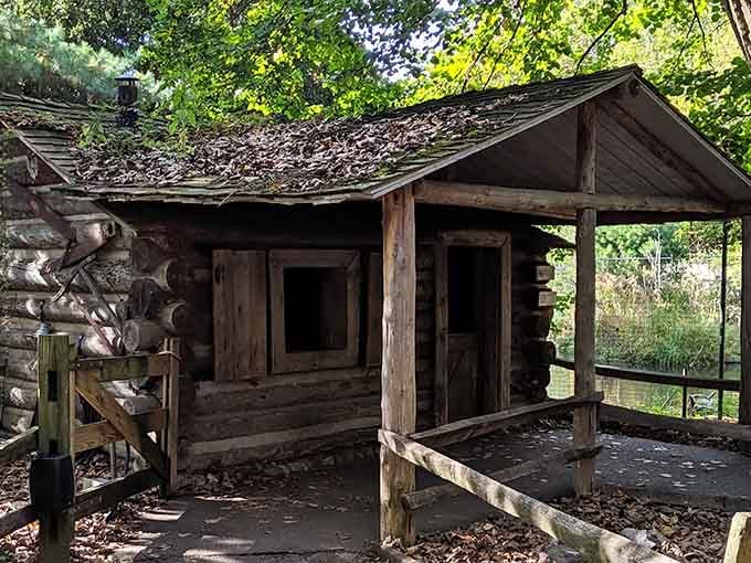 This rustic log cabin nestled among the trees feels like stepping into a frontier adventure story.