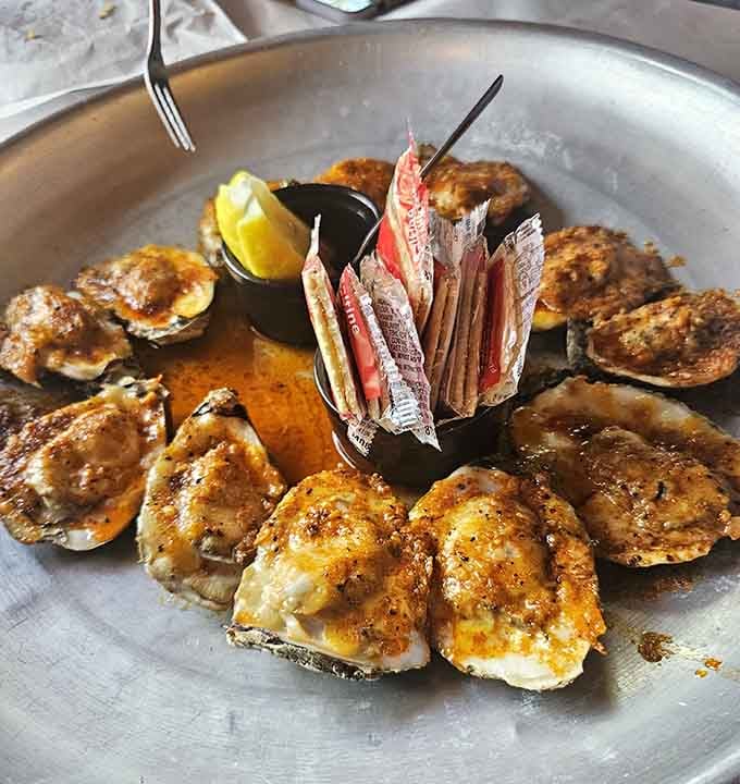 Grilled oysters arranged like edible art, each one a buttery, garlicky bite of coastal perfection on the half shell.