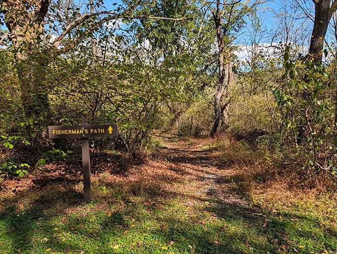 Follow this path to fishing spots where the trout are plentiful and your excuses are unnecessary.