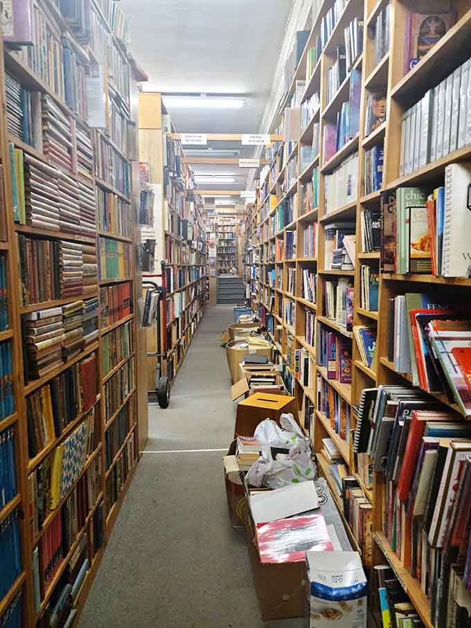Floor-to-ceiling shelves creating the kind of literary labyrinth where getting lost is actually the whole point of visiting.