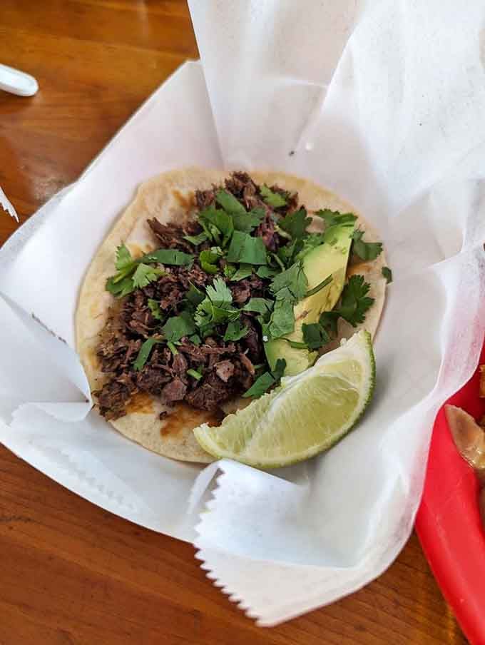 Barbacoa so tender it makes you question every other taco you've ever eaten in your entire life.