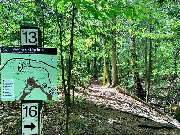 The trail beckons you deeper into the forest, where every turn promises another breathtaking view of the falls.