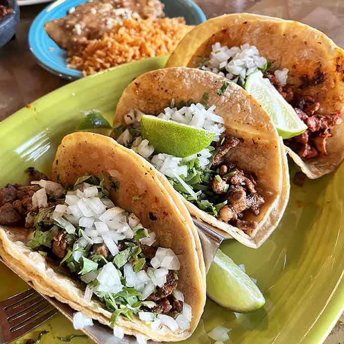 Street tacos that deliver authentic flavor without requiring an actual trip south of the border for lunch.
