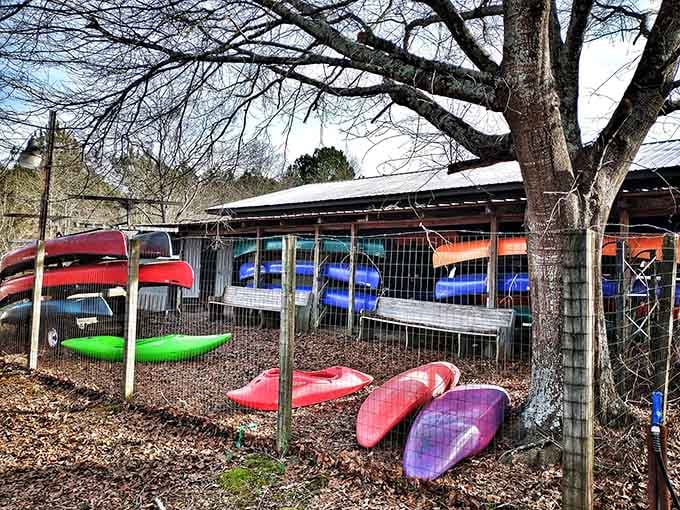 Rainbow fleet ready for adventure, because apparently kayaks come in more colors than a crayon box.
