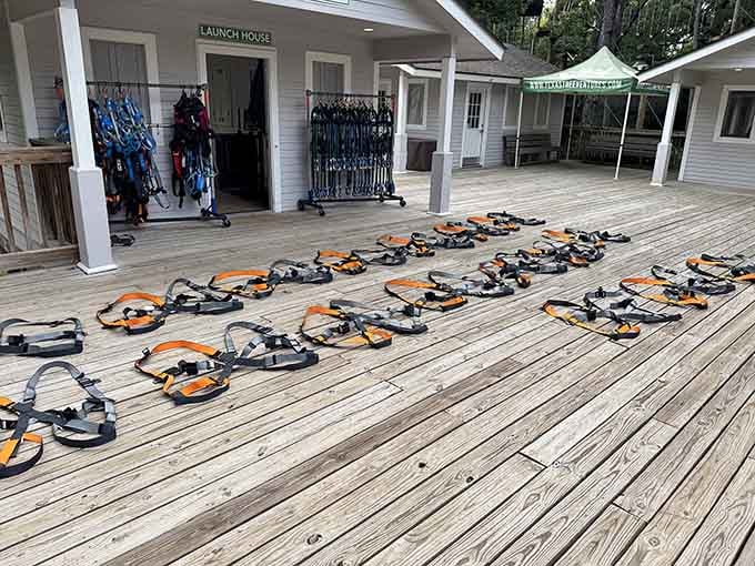 Rows of harnesses await like superhero capes, ready to transform ordinary folks into fearless tree-dwelling acrobats.