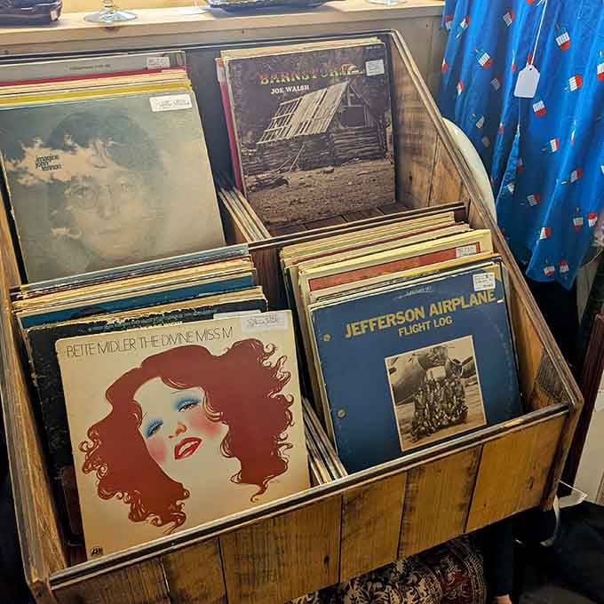 Vinyl records waiting to spin again, because some music just sounds better when it's been loved for decades.