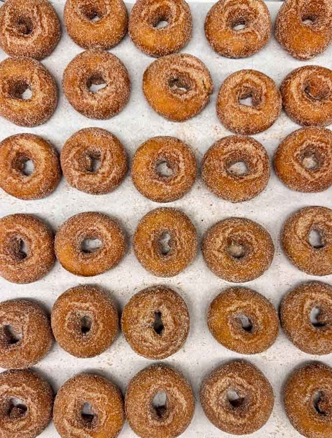 Rows of cider donuts lined up like edible soldiers ready to wage war on your diet plans.