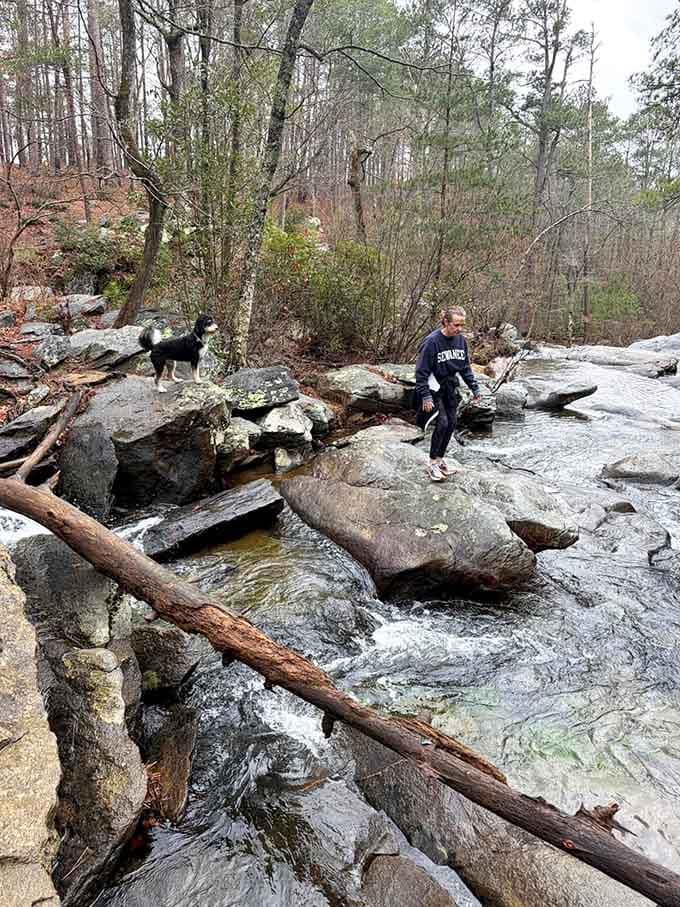 Creek crossings become adventures when you've got good company, even if one has four legs and fur.