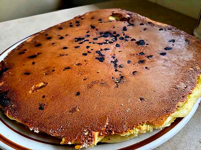 Chocolate chips scattered across this golden disc like edible confetti celebrating your excellent life choices this morning.