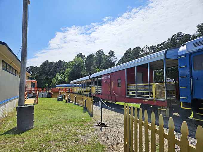 The open-air passenger car where you can actually feel the breeze, a concept airlines have tragically forgotten.