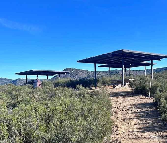 Shade structures offering sweet relief, because even nature lovers need a break from that relentless Southern California sunshine sometimes.