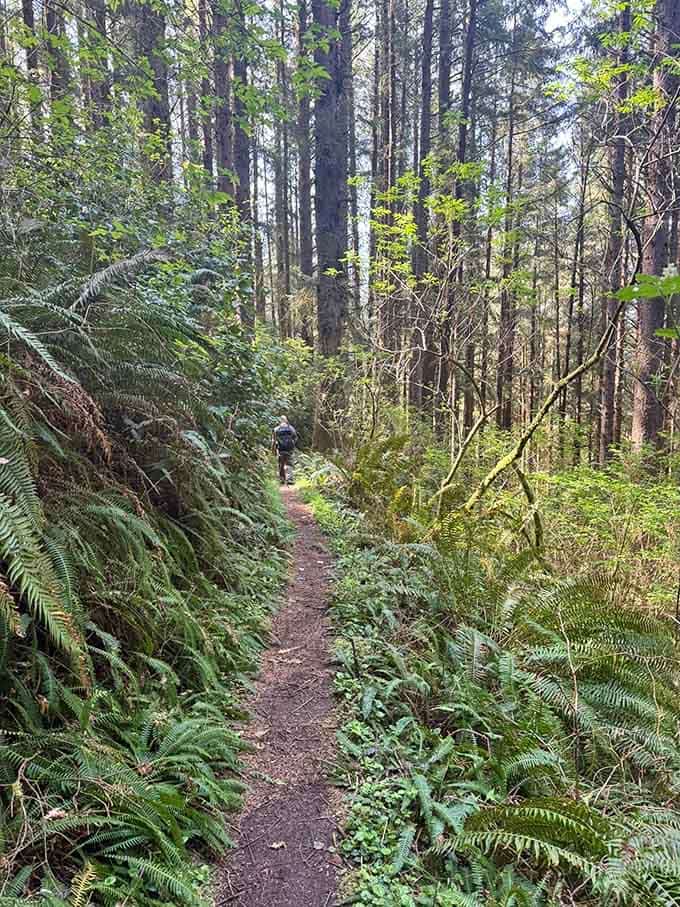 Sometimes the best therapy doesn't involve a couch at all, just ferns, fresh air, and a well-worn trail.