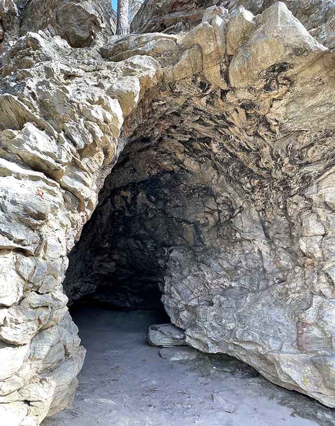 The cave's textured walls tell geological stories that make your family history seem positively recent by comparison.