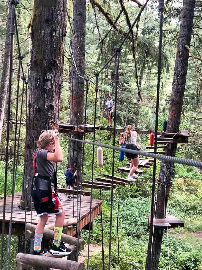 Platforms perch among the branches, creating a network of aerial pathways that would make Tarzan jealous of modern engineering.