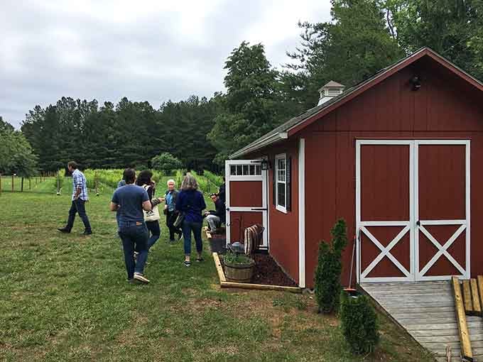 Visitors strolling through vineyard rows, living their best Nancy Meyers movie life in the Virginia countryside.