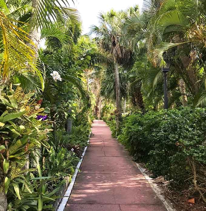 Jungle-like paths tunnel through tropical greenery, making every walk feel like a mini-adventure without the mosquitoes ruining everything.