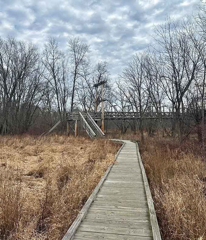 That rustic bridge ahead signals you're entering territory where nature calls the shots and civilization takes notes.
