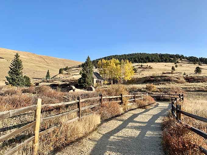 Vindicator Valley Trail winds through autumn gold, where aspens put on their annual fashion show.